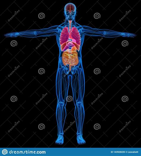 Anuradha Aravindh Raj On Linkedin Scrummaster Agile Comparison