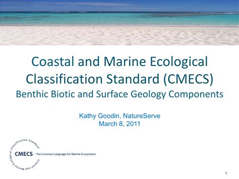 Coastal And Marine Ecological Classification Standard Cmecs Benthic