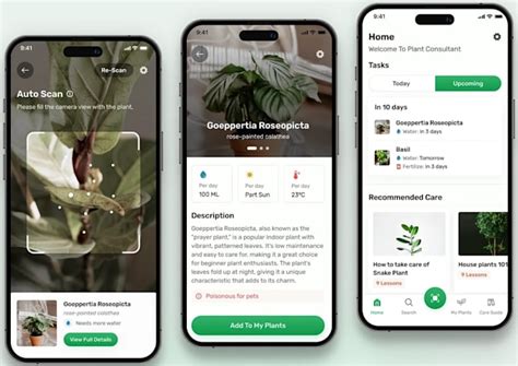 Build Lidar Scanner App Lidar App Lidar Scanning App Webar Arkit Arcore