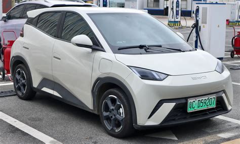 Byd Seagull Carexplore