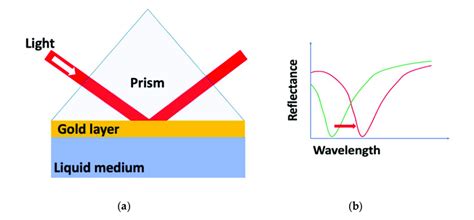 A Surface Plasmon Resonance Biosensor Based On The Attenuated Total Download Scientific