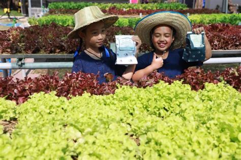 “รมว เกษตรฯสุนทร ปานแสงทอง ผู้ว่าฯศุภมิตร ชิณศรี” ร่วมกิจกรรมงานใต้ร่มพระบารมี 60 ปี โรงเรียน