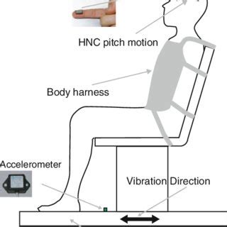 2 Experiment Design For Measuring The Dynamics Of Head Neck Download Scientific Diagram