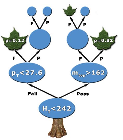Graphical Representation Of A Decision Tree Nodes With Their