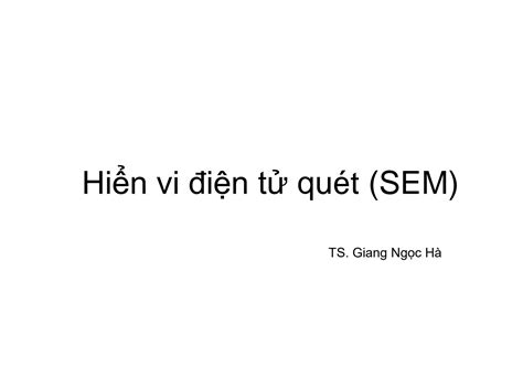 Solution Surface Analysis Sem Studypool