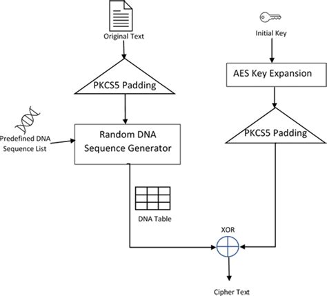 Proposed Workflow Of Key Generation And Random Dna Sequence Based Download Scientific Diagram
