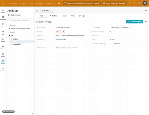 Manage Artifact Data Retention Weights And Biases Documentation