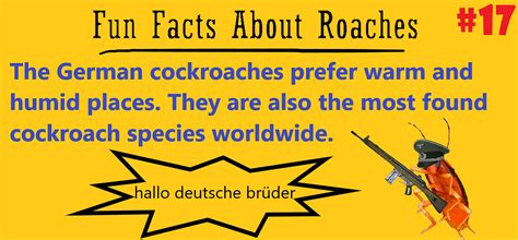 Hallo Deutsche Bruder R Rgbroachgang