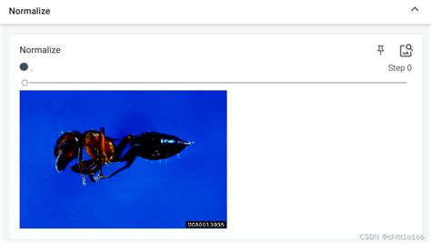 Pytorch学习笔记（三）——transformsfrom Torchio Import Transforms Csdn博客