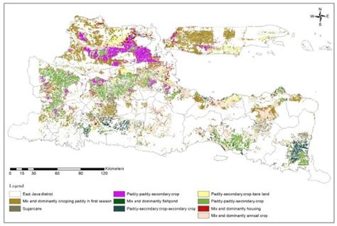 distribution of cropping pattern in east java with nine cropping