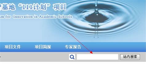 Css样式中input和img在同一行居中对齐 飞虫博客 Css样式中input和img在同一行居中对齐 飞虫博客