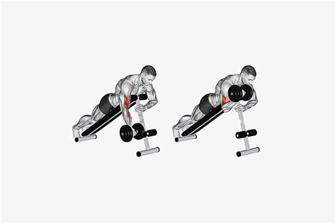 Spider Curl Guide How To Do The Spider Curl For Bigger Wider Biceps Dmoose