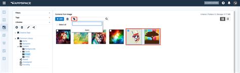 Tag Content Appspace Knowledge Center