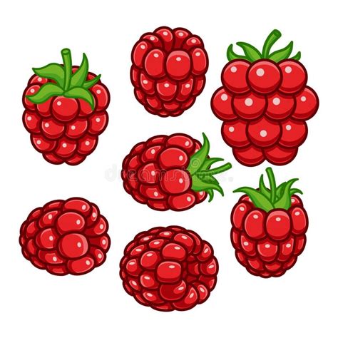 Raspberry Are Elegantly Arranged To Showcase Their Shapes And Colors Stock Illustration