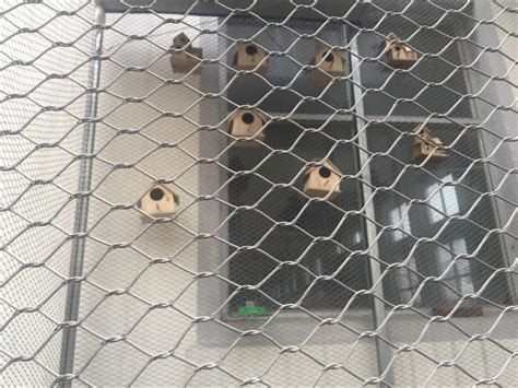 Ss316 Aviary Mesh Netting Bird Cage Nets Bird Mesh Netting Ce Sgs Listed