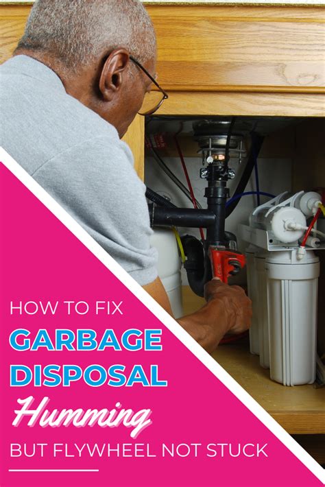 Garbage Disposal Hums But Will Not Turn At Ben Morrow Blog