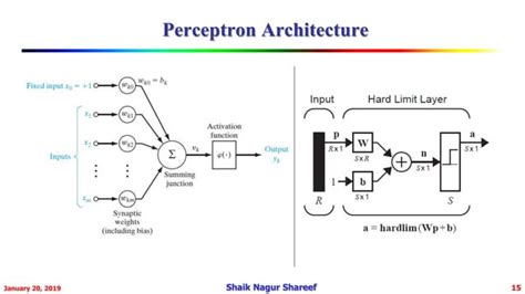 Perceptron And Neural Networks Pptx