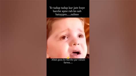 Free Palistine Youtube