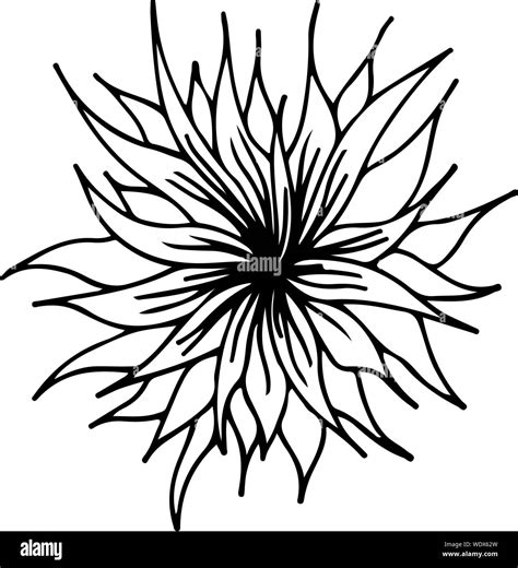 Outline Microbe Vector Icon Isolated Black Simple Line Element Illustration From A Medical