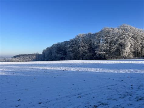 Understanding The Exit Summary Declaration Exs For Eu Customs