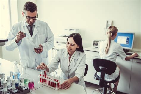 Train Validation Test In Lab What You Must Know