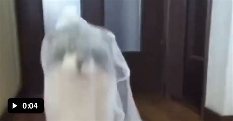 Ghost 9gag Ghost 9gag