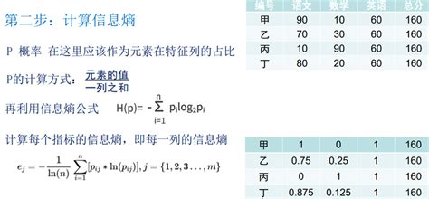 数学建模之熵权法（spsspro与matlab）spss熵权法 Csdn博客