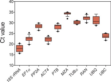 Reference Genes Selection For Transcript Normalization In Kenaf