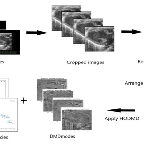 schematic diagram for the higher order dynamic mode decomposition