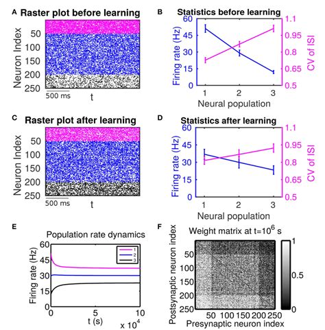 Figure 1 From Effects Of Firing Variability On Network Structures With