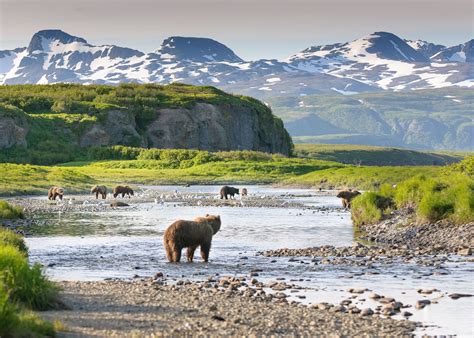 Spots In Alaska