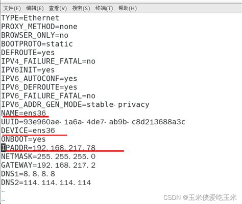 linux 网络设置 ens33 csdn博客