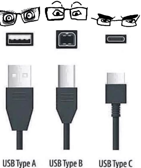 Average Destiny Fan Rburgerkingwastaken