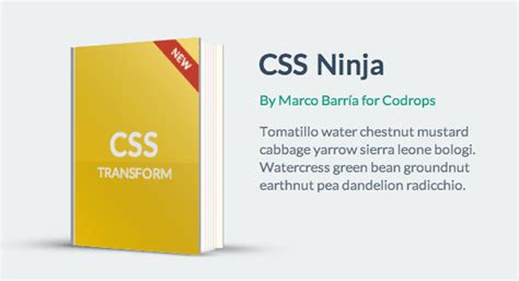 CSS 翻書效果