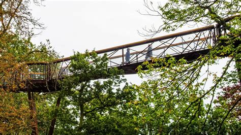 Treetop Walkway Kew