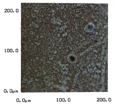 Lubricants Free Full Text The Influence Of Surface Texturing On The Frictional Behaviour In