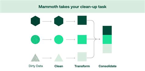 best data cleaning tool mammoth analytics