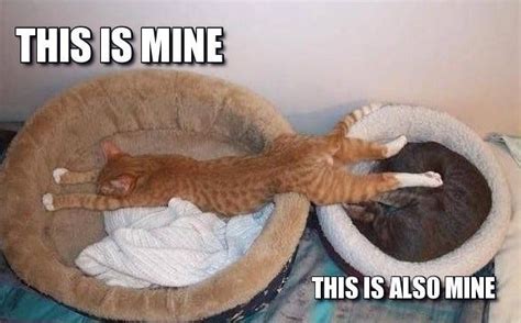 Git Ours Or Theirs Part 2 Tips For Resolving Conflicts By Will Soares Medium