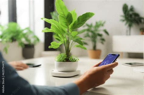 Digital Diagnosis Of Pests In Plants Mobile Application With Leaf
