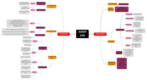 Mindmap Askep Ckd Setyo Prabowo G2a220009 Pdf