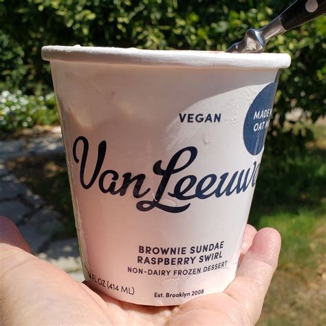 Van Leeuwen Ice Cream Brownie Sundae Raspberry Swirl Reviews Abillion
