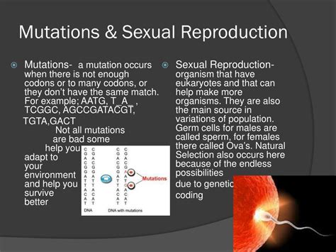 Ppt Exploring Genetic Variations And Reproduction Patterns Powerpoint Presentation Id 3153645