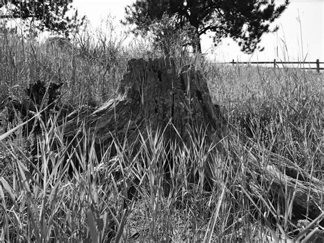 Wordpress Rel Canonical Missing Cjhaas Blog