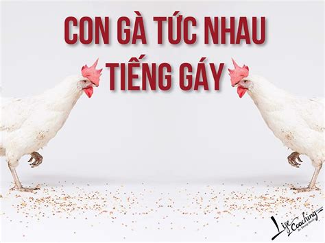 Con Gà Tức Nhau Tiếng Gáy
