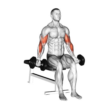 Zottman Curls Exercise Guide With Video
