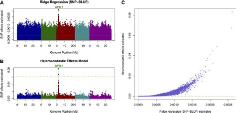 Estimated Snp Effects For The Arabidopsis Bacteria Hypersensitive Trait
