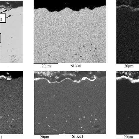 The Xrd Pattern Of A Sio 2 Powder And B The Standard Sio 2 Download Scientific Diagram