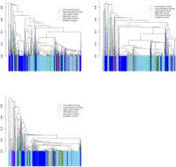 Hierarchical Clustering Using The Average Algorithm Left