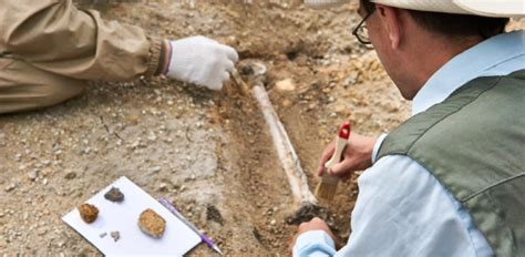 Quiz Prove It Test Your Knowledge Of The Evidence For Evolution In 2