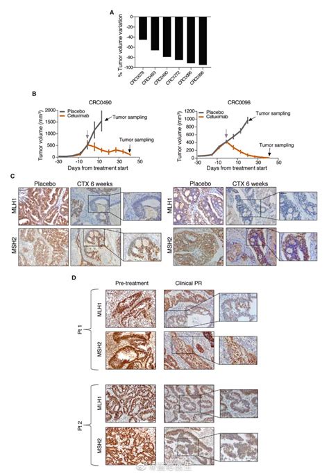 《科学》：实锤！科学家首次证实，在靶向药治疗压力下
